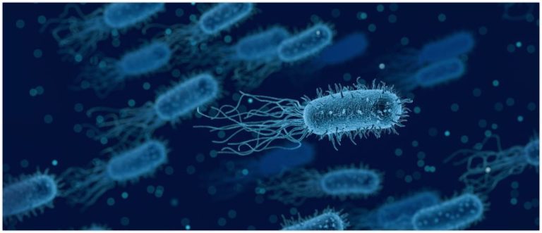Listerien: Welche Gefahr besteht und wie können Sie sich vor den ...