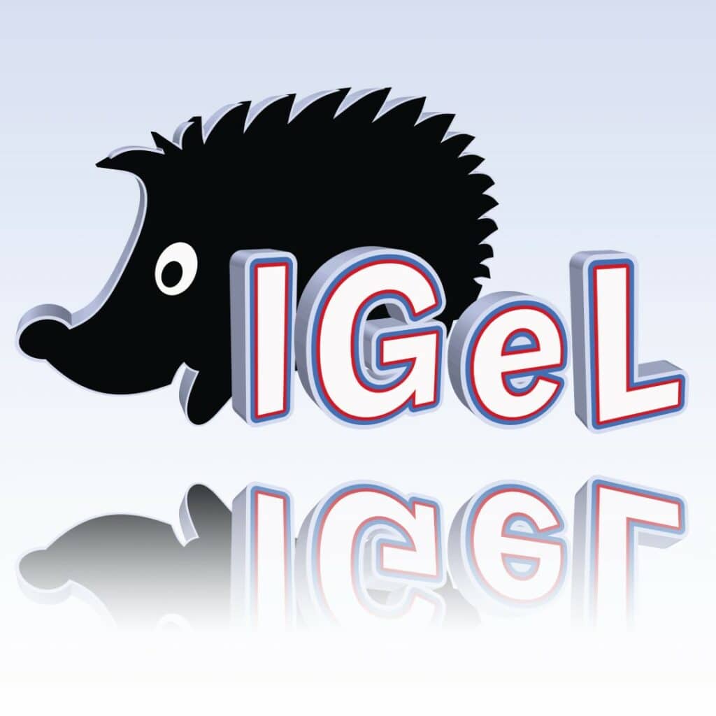 Was sind Individuelle Gesundheitsleistungen (IGeL)? Definition ...